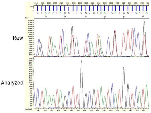 Analyzing Sanger Sequencing Data